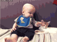 Bonding GIFs - Get the best gif on GIFER