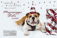 Meany GIFs - Get the best gif on GIFER