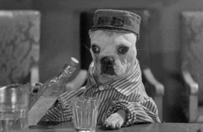 Cannibal comedy GIFs - Obtenez le meilleur gif sur GIFER