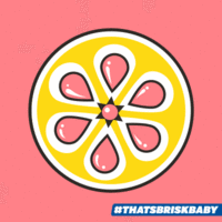 Brisk GIFs - Get the best gif on GIFER