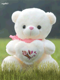 Teddy GIFs - Get the best gif on GIFER