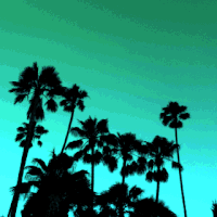 California GIFs - Get the best gif on GIFER