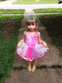 Lista GIFs - Get the best gif on GIFER