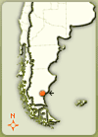 Cte GIFs - Get the best gif on GIFER