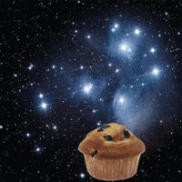 Muffins GIFs - Get the best gif on GIFER