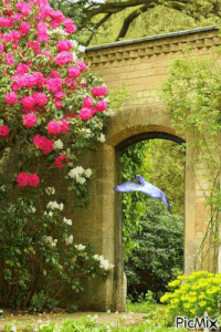 Garden GIFs - Get the best gif on GIFER