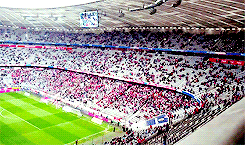 Stadium GIFs - Get the best gif on GIFER