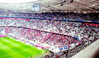 Stadium GIFs - Get the best gif on GIFER