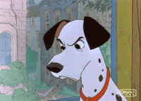 Pongo GIFs - Get the best gif on GIFER