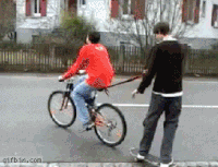 Llama GIF - Conseguir el mejor gif en GIFER