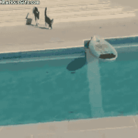 Escape GIFs - Get the best gif on GIFER