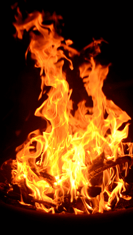 Vertical GIFs - Get the best gif on GIFER