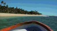 Tropical GIFs - Get the best gif on GIFER