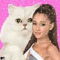 Cashmere cat GIF - Conseguir o melhor gif em GIFER