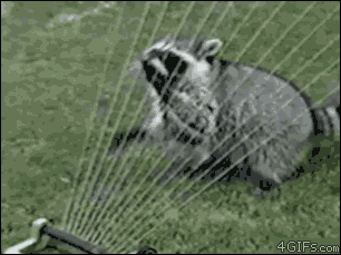 Harp GIFs - Get the best gif on GIFER