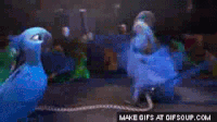 Rio GIF - Conseguir el mejor gif en GIFER