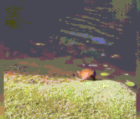 Booooo GIFs - Get the best gif on GIFER