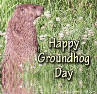 Groundhog GIFs - Get the best gif on GIFER