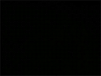 Sublime GIFs - Get the best gif on GIFER