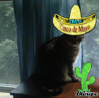 Mayonnaise GIFs - Get the best gif on GIFER