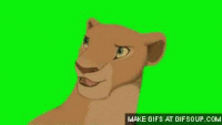 Nala GIFs - Get the best gif on GIFER