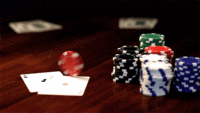 Poker GIFs - Get the best gif on GIFER