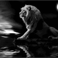 Rasta GIFs - Get the best gif on GIFER