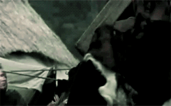 Got mockingbird GIF - Conseguir o melhor gif em GIFER