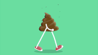 Turd GIFs - Get the best gif on GIFER