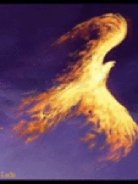 Renovation GIFs - Get the best gif on GIFER