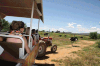 Emirates GIFs - Get the best gif on GIFER