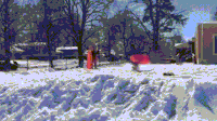 Sledding GIFs - Get the best gif on GIFER