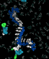 Molecular biology GIFs - Get the best gif on GIFER
