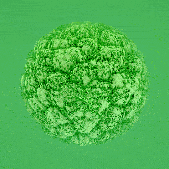 Fungal GIF - Conseguir o melhor gif em GIFER