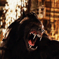 Werewolves GIFs - Get the best gif on GIFER