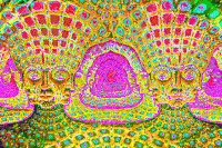 Acid GIFs - Get the best gif on GIFER