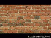 Wall GIFs - Get the best gif on GIFER
