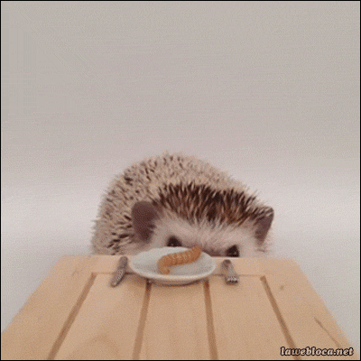 Eating a worm GIF - Conseguir el mejor gif en GIFER