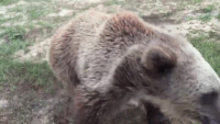 Heat GIFs - Get the best gif on GIFER