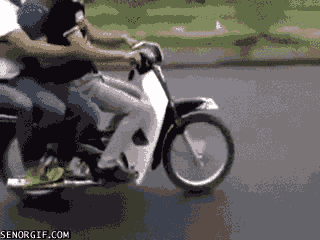 Moped GIFs - Get the best gif on GIFER