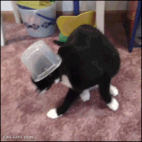 Plastic GIFs - Get the best gif on GIFER