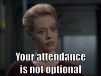 Attendance GIFs - Get the best gif on GIFER