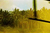 Napalm GIFs - Get the best gif on GIFER