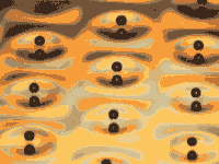 Dynamic GIFs - Get the best gif on GIFER