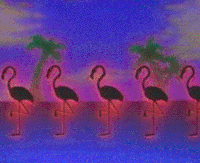 Vhs GIFs - Get the best gif on GIFER