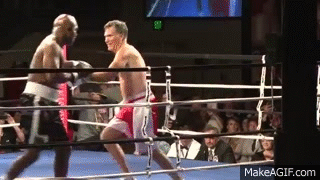 Idiocy knows no rest GIF - Conseguir o melhor gif em GIFER