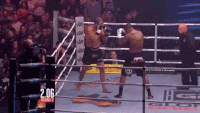 Kick boxing GIFs - Get the best gif on GIFER