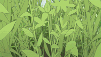 Grasslands GIFs - Get the best gif on GIFER