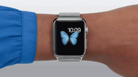 Watch GIFs - Get the best gif on GIFER