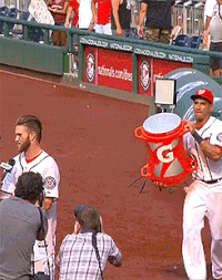 Dumping GIFs - Get the best gif on GIFER